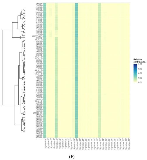 Integrative Genomic and Transcriptomic Profiling Reveals a Differential ...