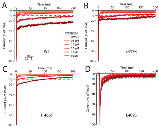 Veratridine Can Bind to a Site at the Mouth of the Channel Pore at ...