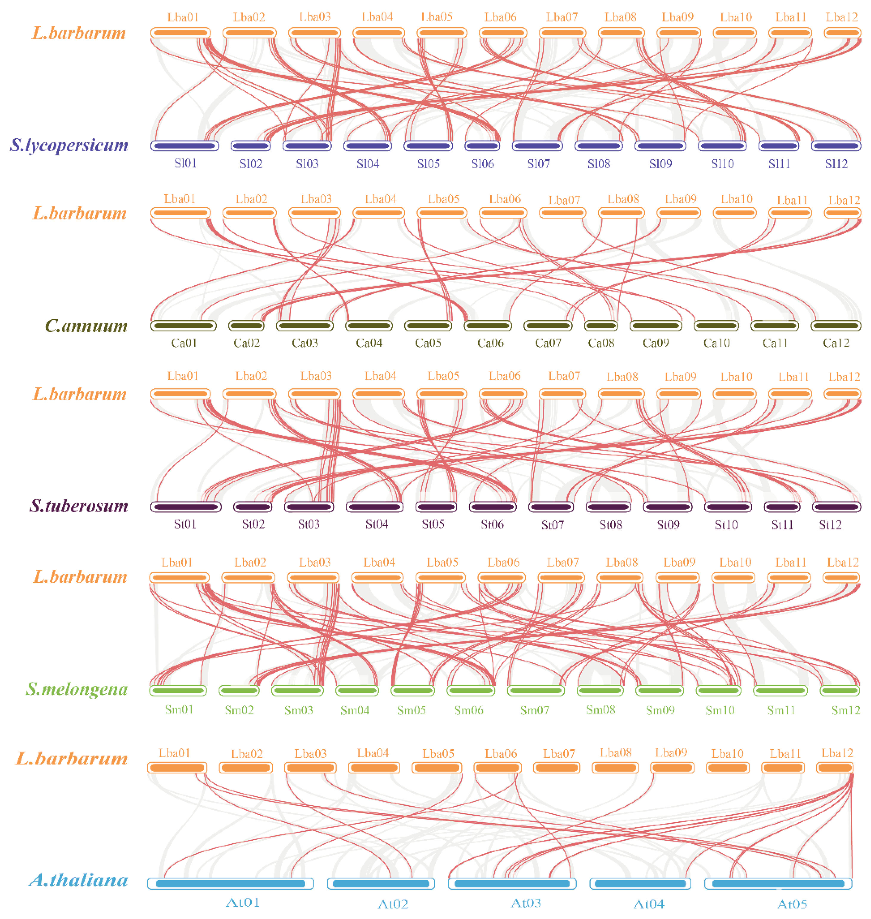 IJMS | Free Full-Text | Genome-Wide Comparative Analysis of the R2R3-MYB Gene Family in Five ...