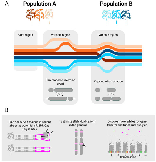 Expanding Gene-Editing Potential in Crop Improvement with Pangenomes