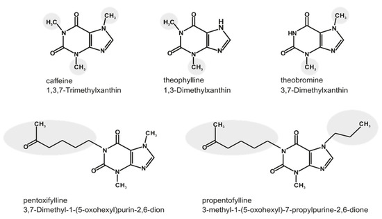 IJMS | Free Full-Text | Methylxanthines Induce a Change in the AD ...