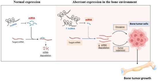 Ijms Free Full Text The Biological Function Of Micrornas In Bone Tumors