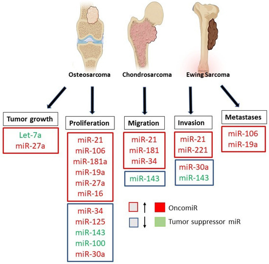 Ijms Free Full Text The Biological Function Of Micrornas In Bone Tumors