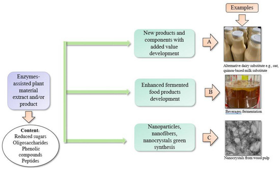 Enzymes-Assisted Extraction of Plants for Sustainable and Functional ...