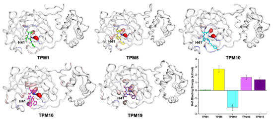 Discovery of SARS-CoV-2 3CLPro Peptidomimetic Inhibitors through the ...