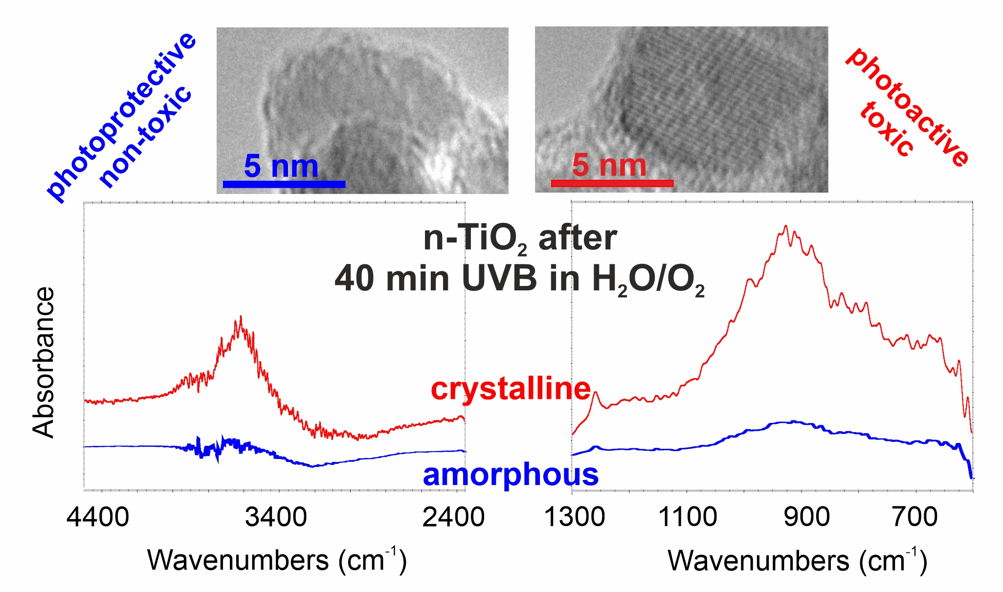 IJMS | Free Full-Text | Underestimated Properties of Nanosized ...