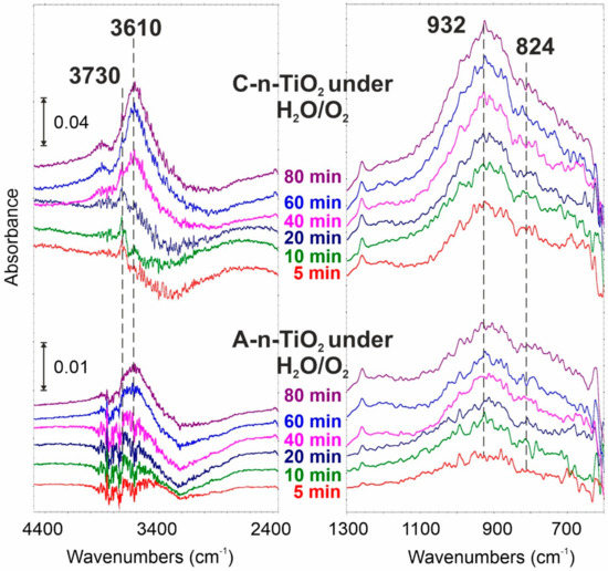 Underestimated Properties of Nanosized Amorphous Titanium Dioxide