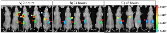 In Vivo Evaluation of Sgc8-c Aptamer as a Molecular Imaging Probe for ...