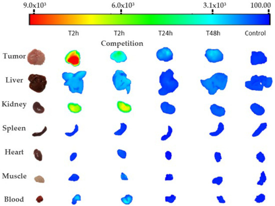 In Vivo Evaluation of Sgc8-c Aptamer as a Molecular Imaging Probe for ...