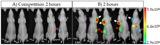 In Vivo Evaluation of Sgc8-c Aptamer as a Molecular Imaging Probe for ...