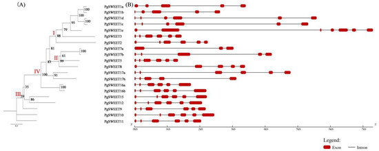 Identification, Analysis and Gene Cloning of the SWEET Gene Family ...
