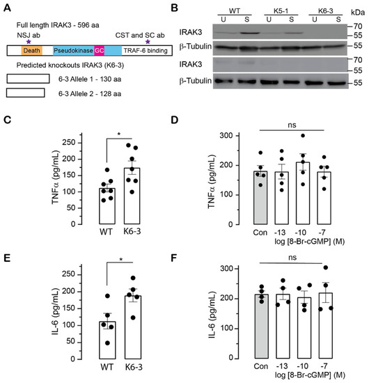 Modulation of Inflammatory Cytokine Production in Human Monocytes by ...