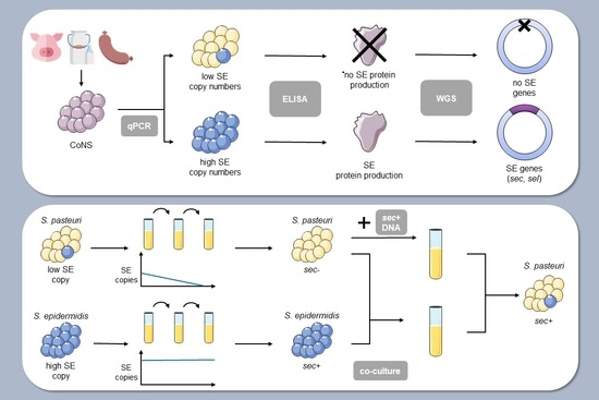 IJMS | Special Issue : Advances in Microbial Genomics and Evolution