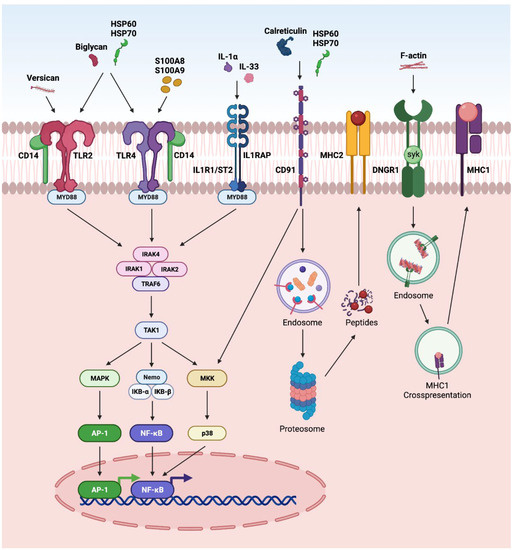 Damage-Associated Molecular Patterns (DAMPs) in Retinal Disorders