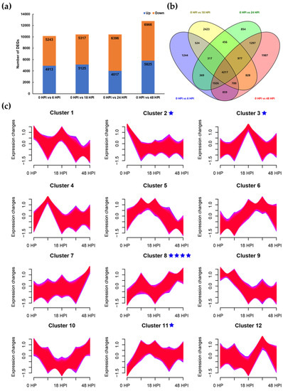 Genome-Wide Identification, Classification, and Expression Analysis of ...