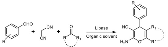 Stereoselective Promiscuous Reactions Catalyzed by Lipases
