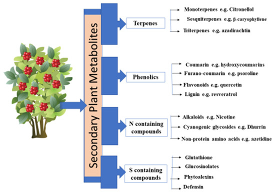 Plant Secondary Metabolites as Defense Tools against Herbivores for ...
