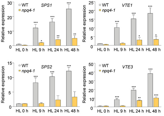 High Light Acclimation Mechanisms Deficient in a PsbS-Knockout ...