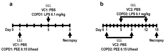 Comprehensive Targeted Metabolomic Study in the Lung, Plasma, and Urine ...