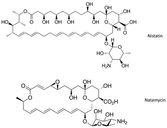 Emerging Antifungal Targets and Strategies