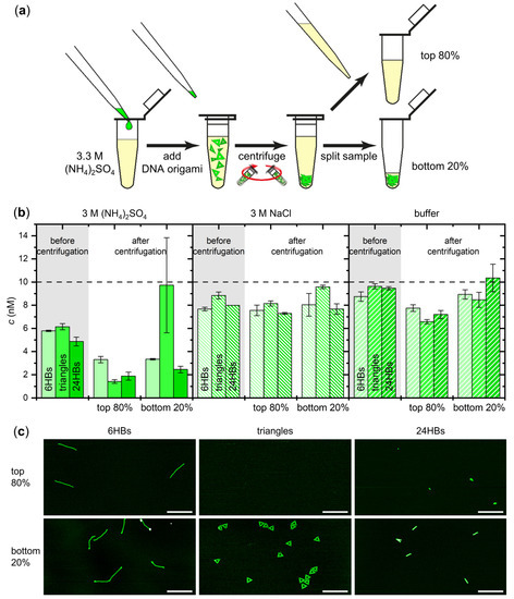 Salting-Out of DNA Origami Nanostructures by Ammonium Sulfate