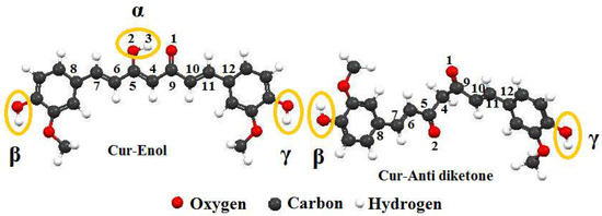 Multitask Quantum Study of the Curcumin-Based Complex Physicochemical ...
