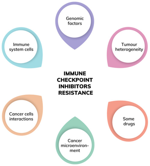 Challenges of the Immunotherapy: Perspectives and Limitations of the Immune Checkpoint Inhibitor ...