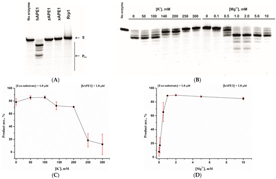 Comparative Analysis of Exo- and Endonuclease Activities of APE1-like ...
