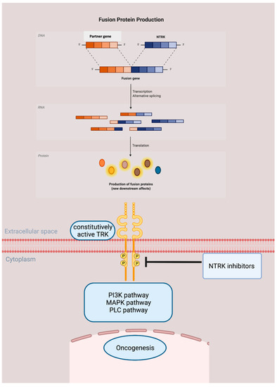 The Challenge and Opportunity of NTRK Inhibitors in Non-Small Cell Lung ...