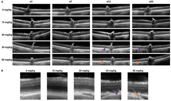 Sodium-Iodate Injection Can Replicate Retinal Degenerative Disease ...