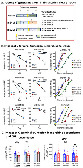 Exploring Pharmacological Functions of Alternatively Spliced Variants ...
