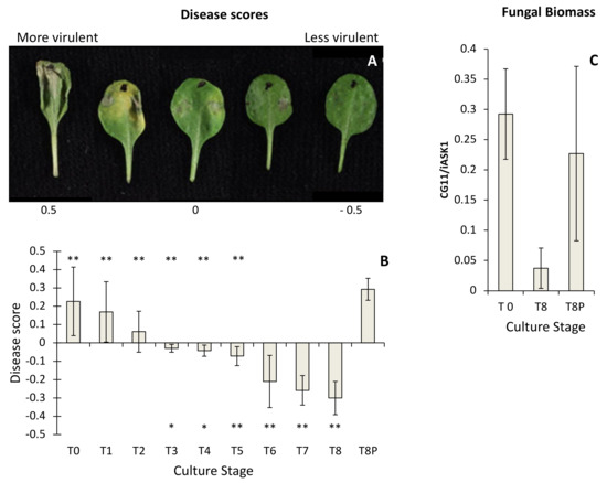 Botrytis cinerea Loss and Restoration of Virulence during In Vitro ...