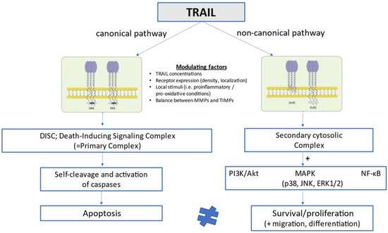Repositioning the Role of Tumor Necrosis Factor-Related Apoptosis ...