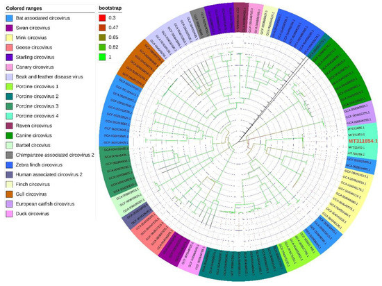 Porcine Circovirus Type 4 Strains Circulating in China Are Relatively ...