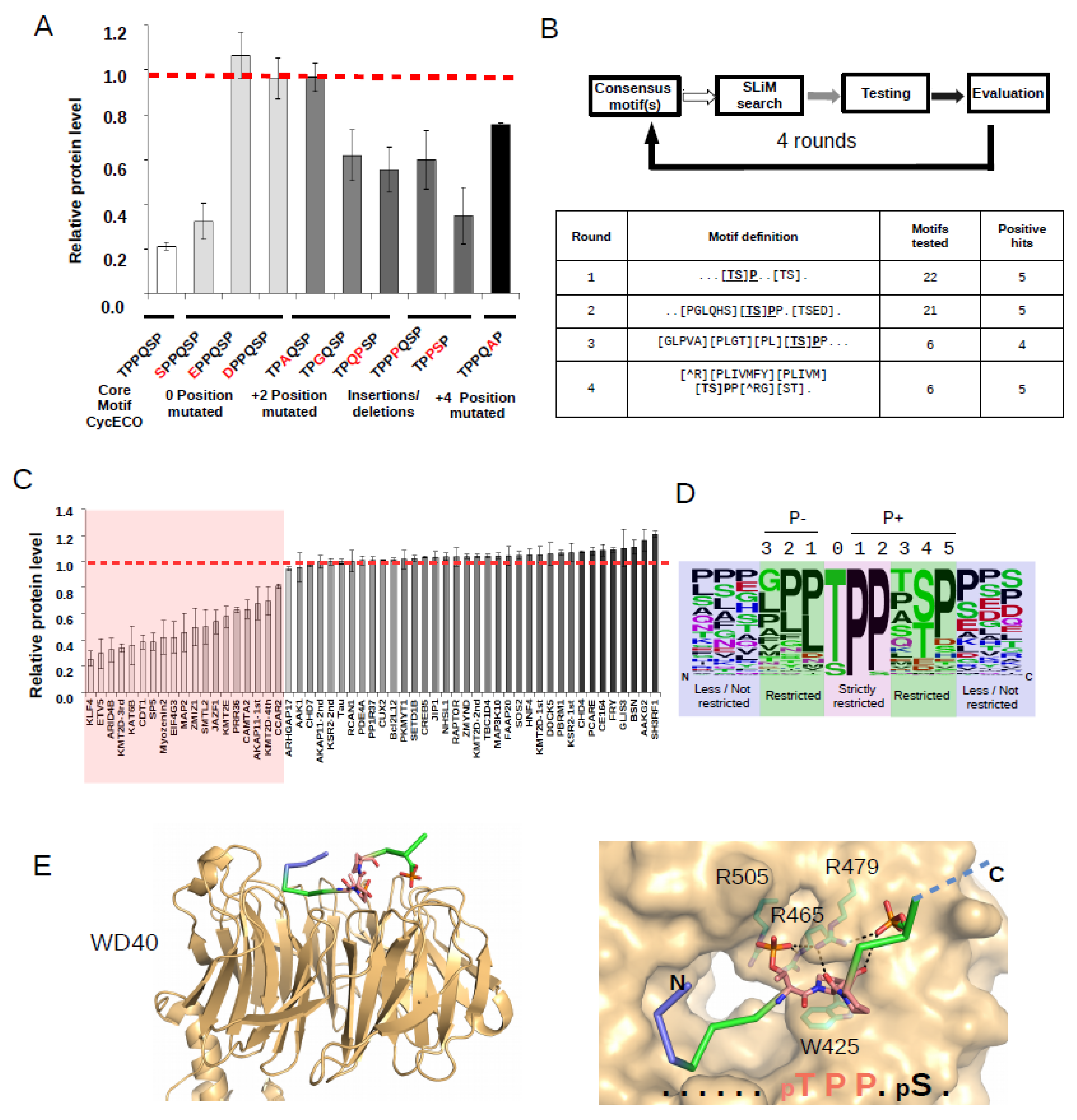 Ijms Free Full Text Systematic Discovery Of Fbxw7 Binding