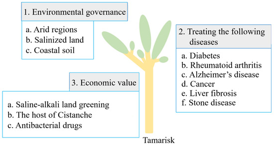 Recent Progress on the Salt Tolerance Mechanisms and Application of ...