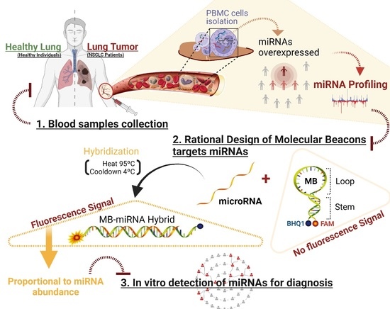 IJMS | Free Full-Text | Molecular Beacon for Detection miRNA-21 as a ...