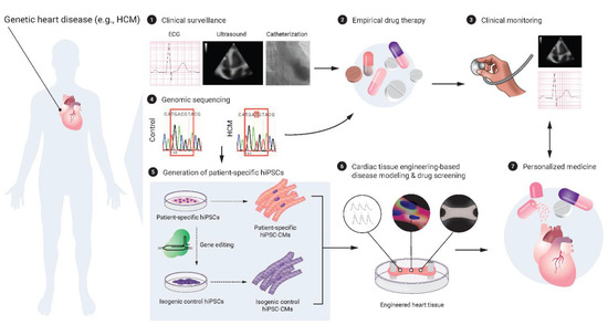 Progress in Bioengineering Strategies for Heart Regenerative Medicine
