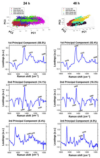 Raman Research on Bleomycin-Induced DNA Strand Breaks and Repair ...