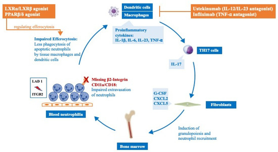 Understanding the Role of LFA-1 in Leukocyte Adhesion Deficiency Type I ...