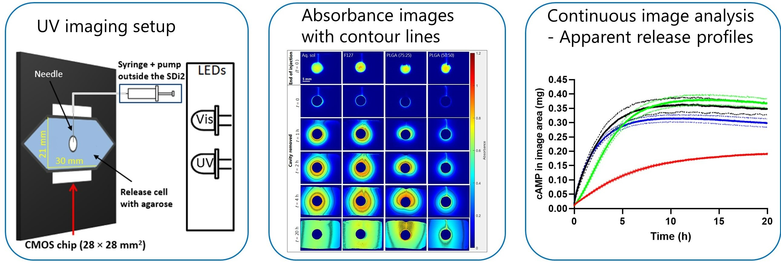 IJMS | Free Full-Text | Methodological Considerations in Development of ...