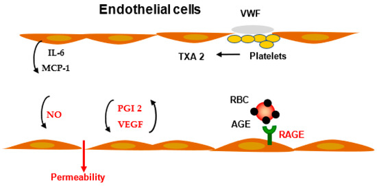 Vascular Permeability in Diseases