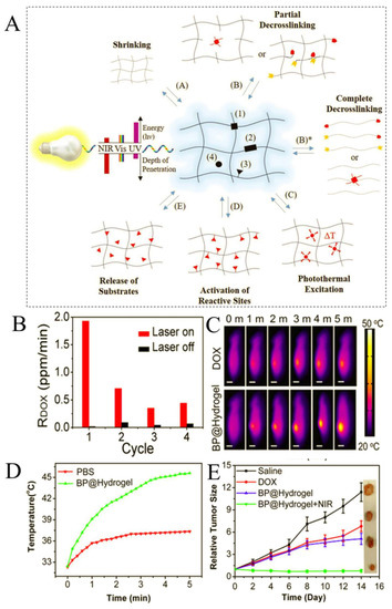 Smart Hydrogels for Advanced Drug Delivery Systems