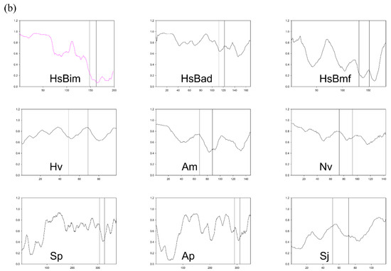 IJMS | Free Full-Text | Metazoans and Intrinsic Apoptosis: An Evolutionary Analysis of the Bcl-2 ...