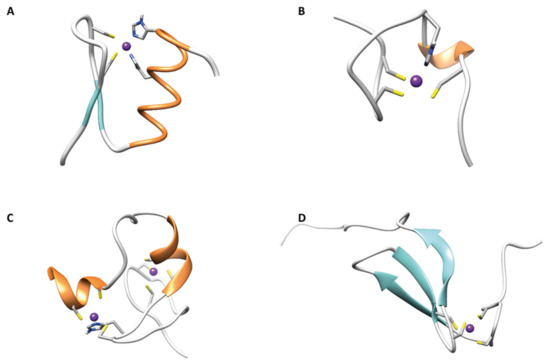 IJMS | Free Full-Text | Host and Viral Zinc-Finger Proteins in COVID-19
