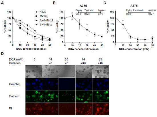 Pyruvate Dehydrogenase Kinase Inhibition by Dichloroacetate in Melanoma ...