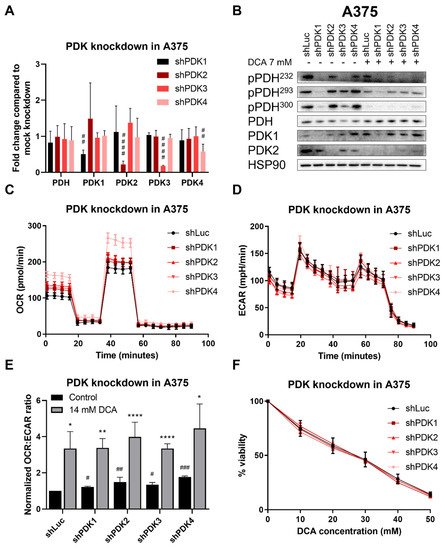 Pyruvate Dehydrogenase Kinase Inhibition by Dichloroacetate in Melanoma ...