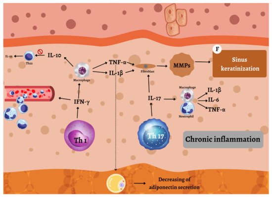 New and Emerging Targeted Therapies for Hidradenitis Suppurativa