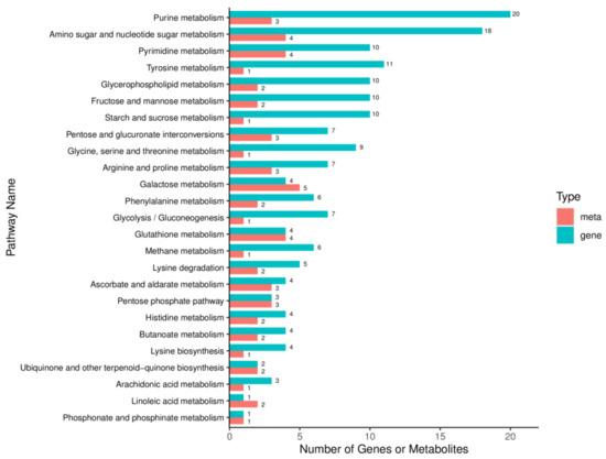 Multi-Omics Techniques for Analysis Antifungal Mechanisms of ...