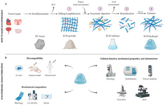 IJMS | Free Full-Text | Future Challenges and Opportunities of ...
